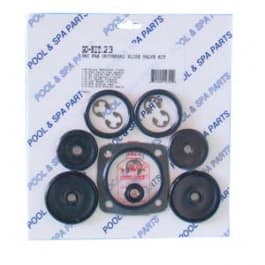 Aladdin Pac-Fab Pentair Universal Slide Valve Kit | AEQGOKIT23 ...