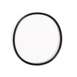 Aladdin O-Ring | O-231V | Heritage Pool Plus