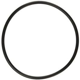 Aladdin O-Ring | O-231 | Heritage Pool Plus