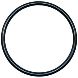 Aladdin O-Ring | O-64 | Heritage Pool Plus