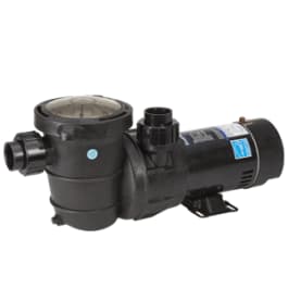 AquaGuard DualFlo 1 HP Above Ground Pump, 6' Std Cord | K5880 ...