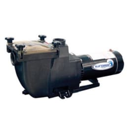 Blue Torrent Maxi 1.5HP Dual Port A/G Pool Pump, Black | MX115DNSBS ...