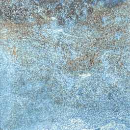 CTI OCEAN BLUE GLOSSY 6X6 CT ARA 573 6" X 6" | Heritage Pool Plus