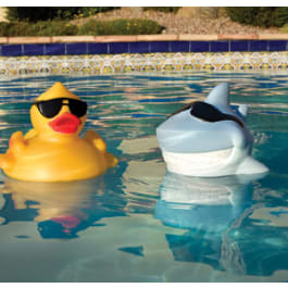 Game Shark Large Floating Chlorinator, for Pool or Spa, 1" Tablets or ...