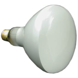 Halco R40FL300/HG Incandescent Light Bulb, 300W 130V | 104035 ...