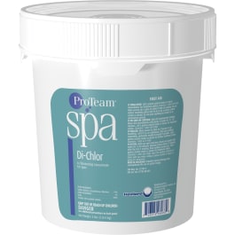 ProTeam Spa Dichlor Chlorine Granular 4 lb Pail 8/Case | C003937-CS77C1 ...