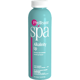 ProTeam Spa Alkalinity Up 1 lb Bottle 12/Case | C003943-CS20P5 ...