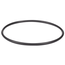 Hayward Salt Cell O-Ring | GLX-DIY-ORING | Heritage Pool Plus