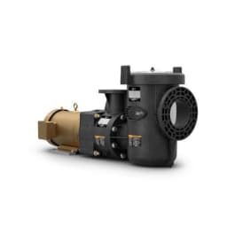 Jandy JCP Commercial Polymer Pump, 15 HP, 208-230/460 V, Three Phase ...