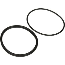 Jandy Pro Series Lid Seal & O-Ring | R0449100 | Heritage Pool Plus