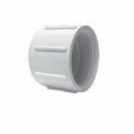 PVC Test Cap 1-1/4 in. Acme | G548012 | Heritage Plus