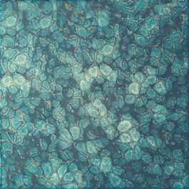 6" x 6" Gothic Spruce Gothic, Porcelain Tile, 14 SQFT/Box Sold By SQFT ...