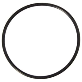 Pentair EQ Series Pump Diffuser O-Ring | 350037 | Heritage Pool Plus