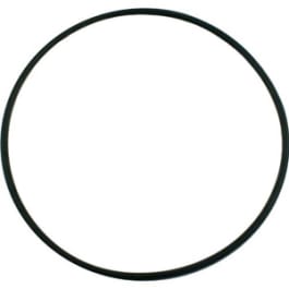 Pentair Pinnacle/SuperFlo Seal Plate O-Ring | 355619Z | Heritage Pool Plus