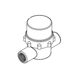 Pentair Strainer Flt Inline .25 Fnpt | 522010Z | Heritage Pool Plus