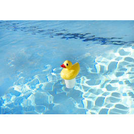 Poolmaster Pool Duck Floating Chlorine Dispenser, Telescopic Dispenser ...