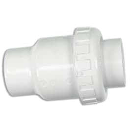 Praher 1 " Corrosion Resistant Check Valve With 2Lb Spring (S X S ...