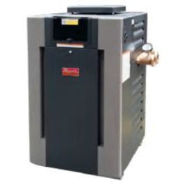 Raypak B-R406A-EN-C #50 Digital ASME Natural Gas Heater, 399K BTU ...