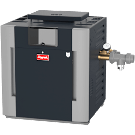 Raypak B-R207A-EN-X #26 Digital Low NOx ASME Natural Gas Heater, 199.5K ...