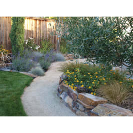 Technisoil Pathway Stabilizer, 5 Gal Bottle White | TP-5 | Heritage Plus