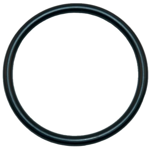 Aladdin O-Ring | O-125 | Heritage Pool Plus