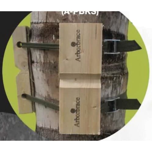 with Polypropylene Strap For Palm Tree Brace Palm Brace Kit | ARBAPBKS ...