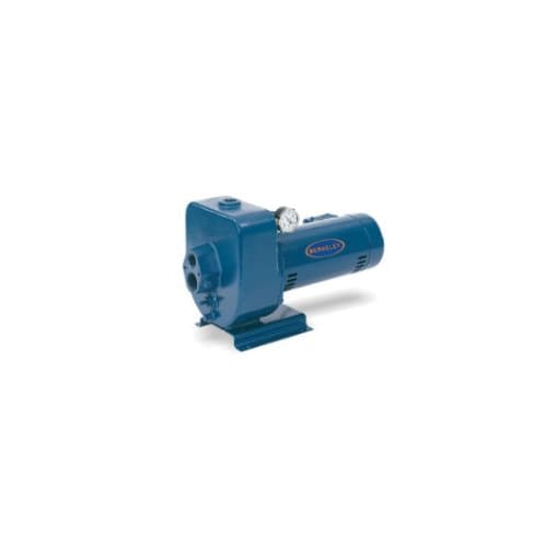 1-1/2 hp 230 V Horizontal Multi-Stage LT2 Series Jet Pump | BKYS40110MS1