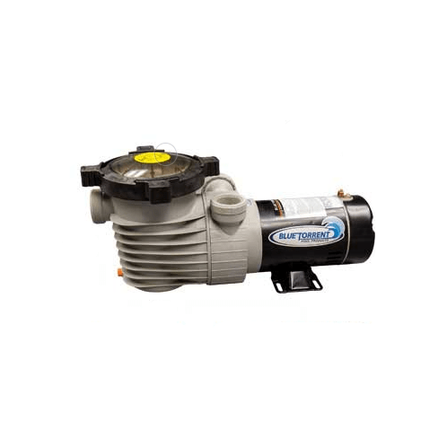 Blue Torrent 1.5 Hp Hurricane-D Pump - Single Speed Dual Port 115V 1 ...