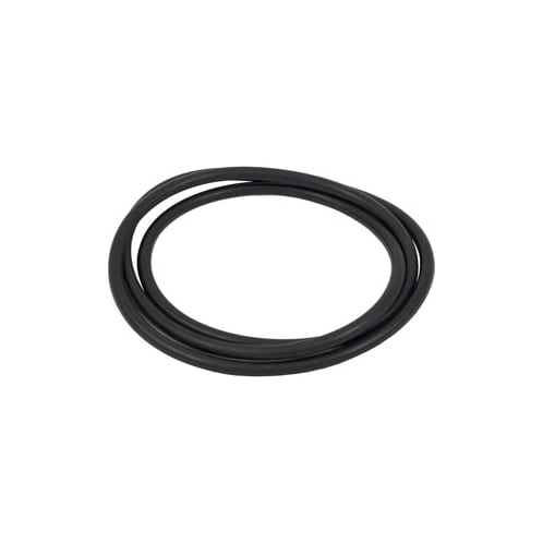 Hayward Body O-Ring | CCX1000G | Heritage Pool Plus