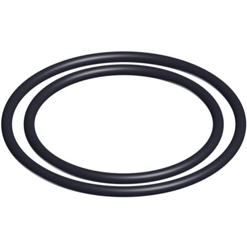 Hayward O-Ring Kit -Set Of 2- | DEX2420Z8A