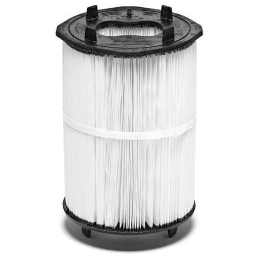 Pentair Sta-Rite PLM100 Replacement Cartridge, 100 sf | 27002-0100S ...