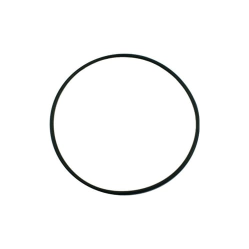 Pentair Pinnacle/SuperFlo Seal Plate O-Ring | 355619Z | Heritage Pool Plus