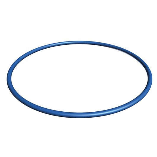 Hayward Valve/ Tank O-Ring | GMX600F