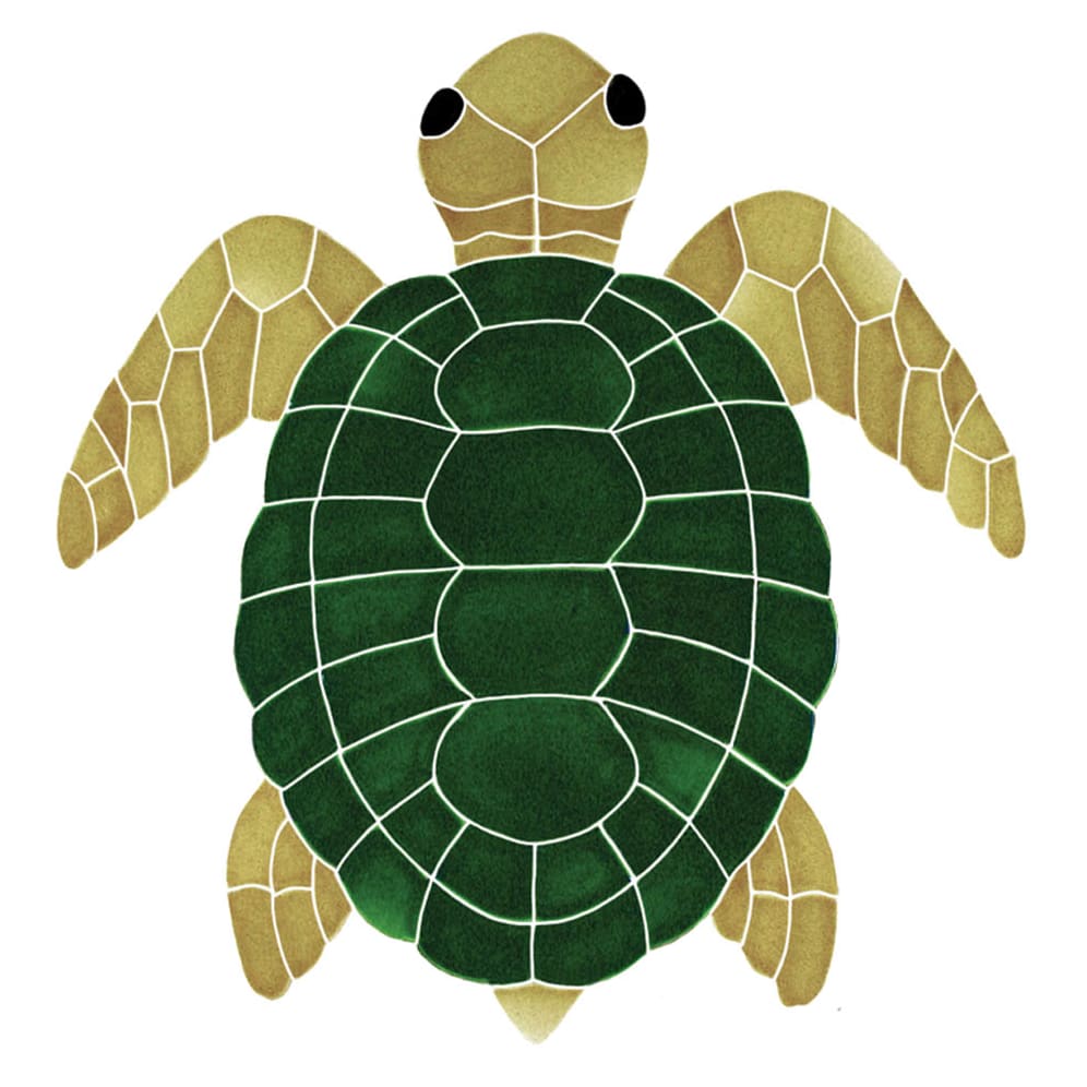 21" X 21" Artistry Turtle, Classic Topview Natural Ceramic Tile Designs ...