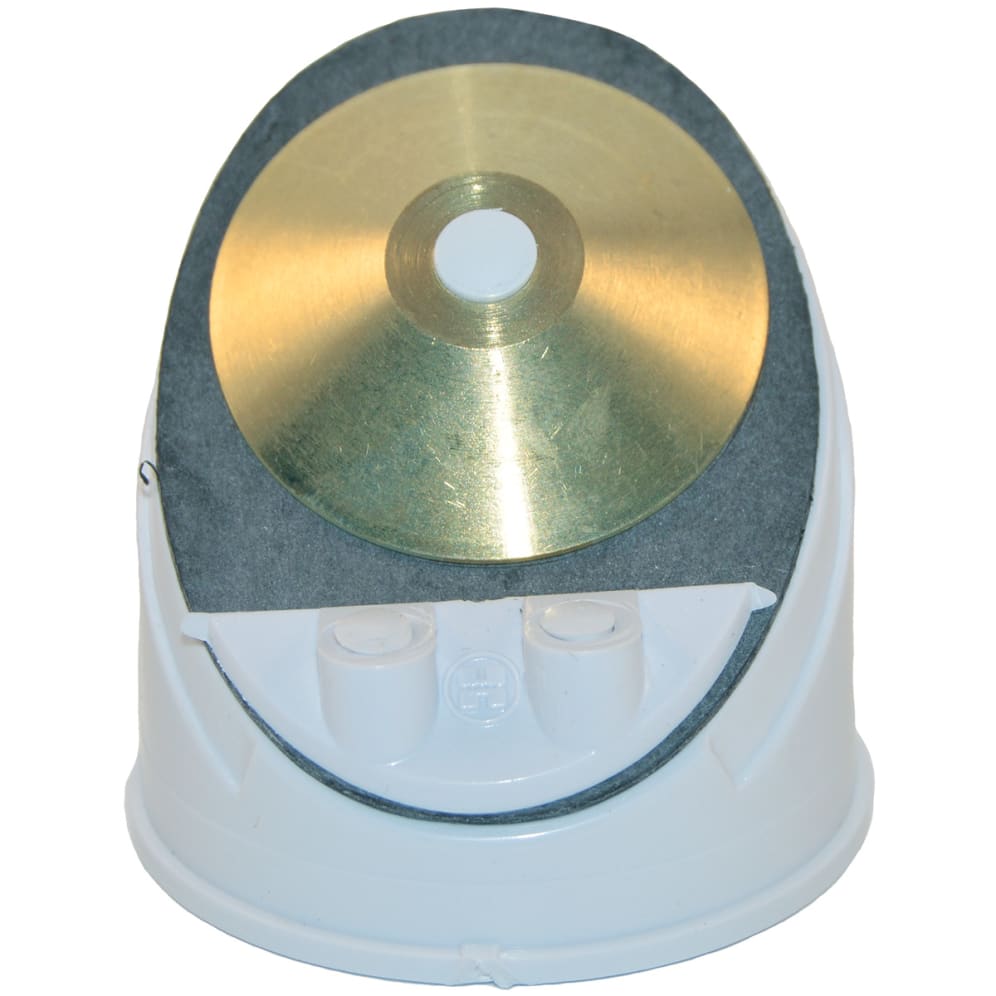 Hayward Check Valve | ECX4077B1