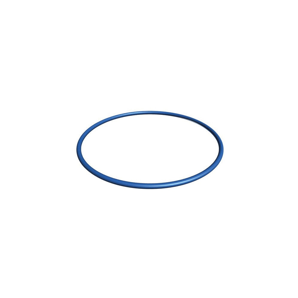 Hayward Valve/ Tank O-Ring | GMX600F