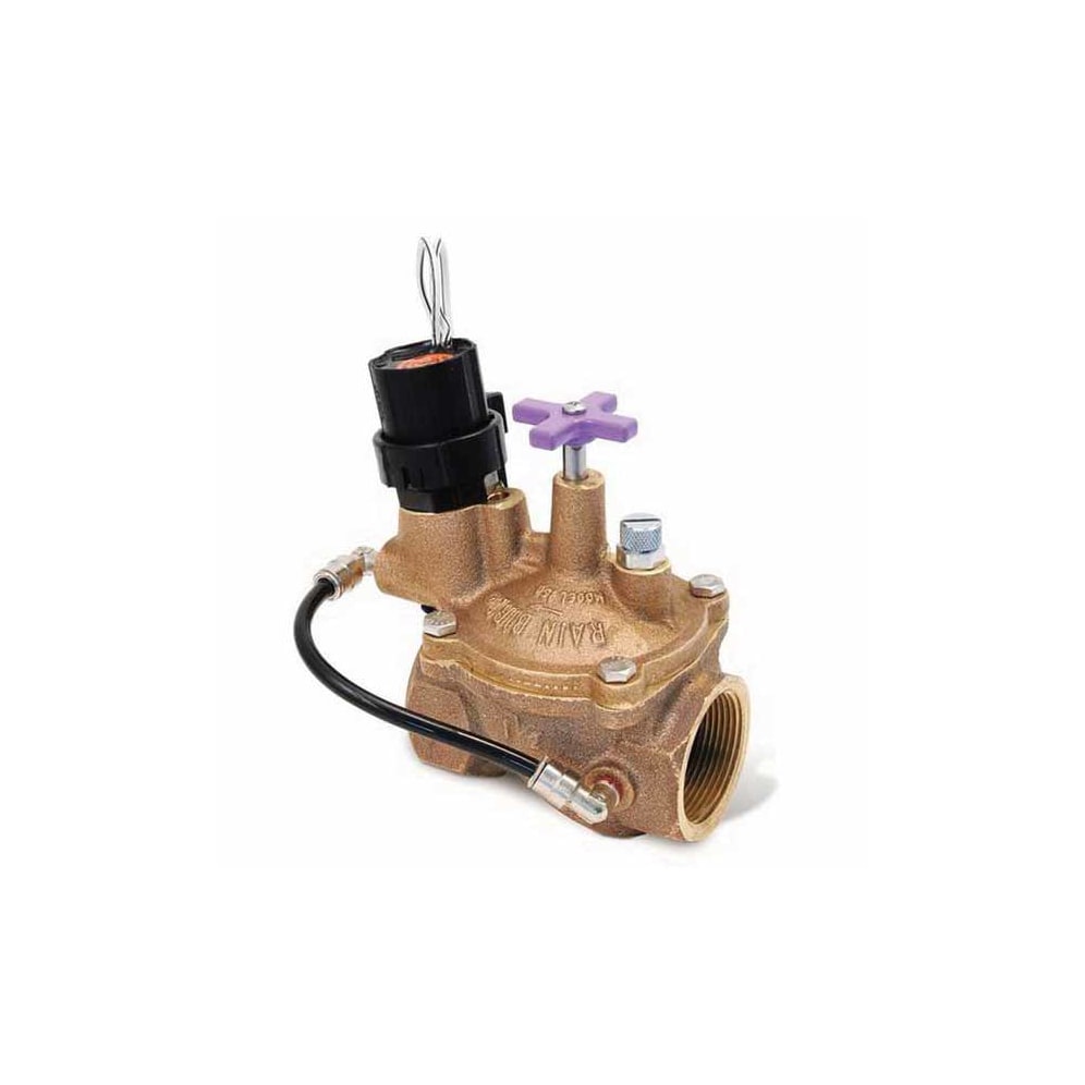 Rain Bird EFB-CP In-Line Valve with Flow Control 2" FPT | RBL200EFBCP