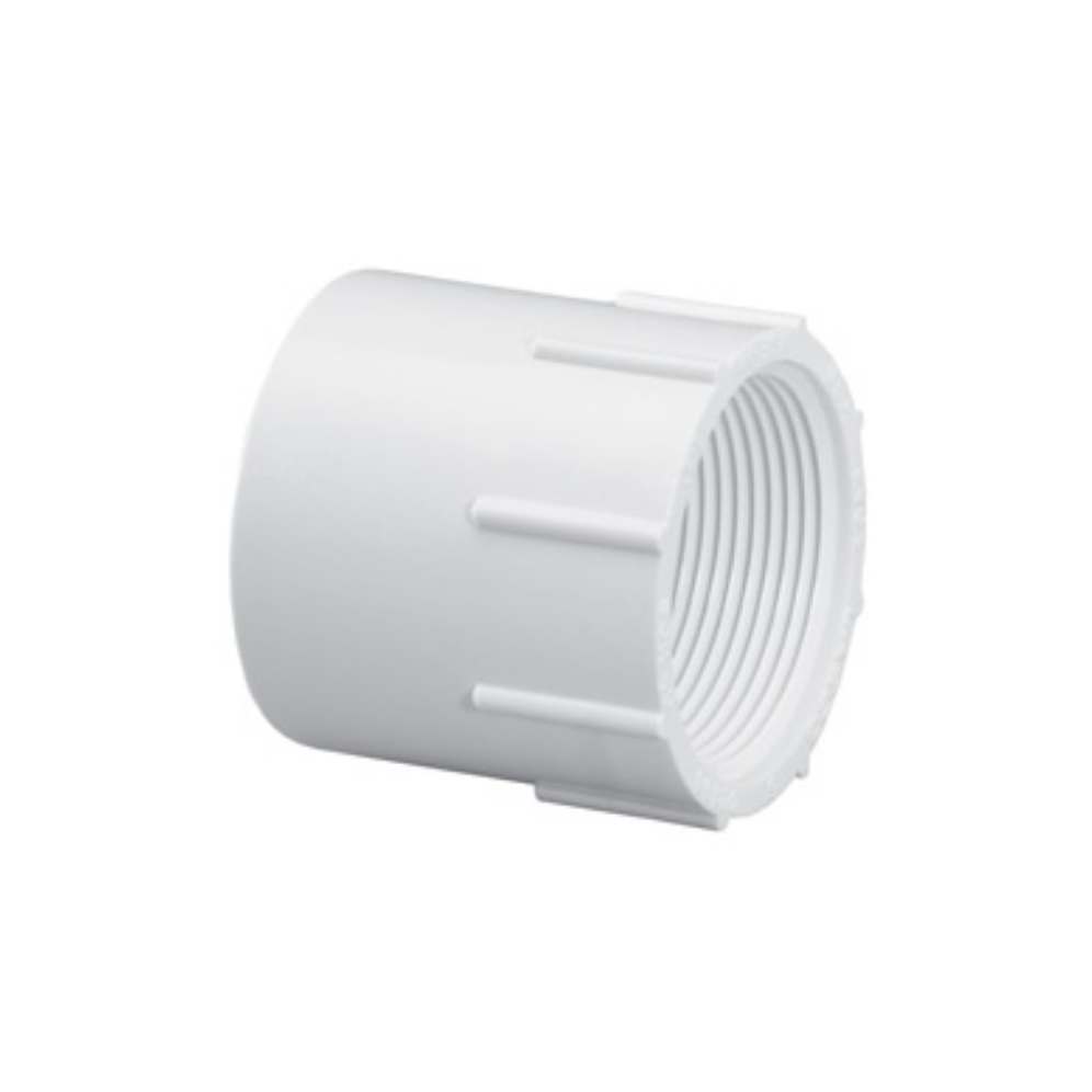 Sch. 40 PVC Adapter 2 in. Slip x FPT